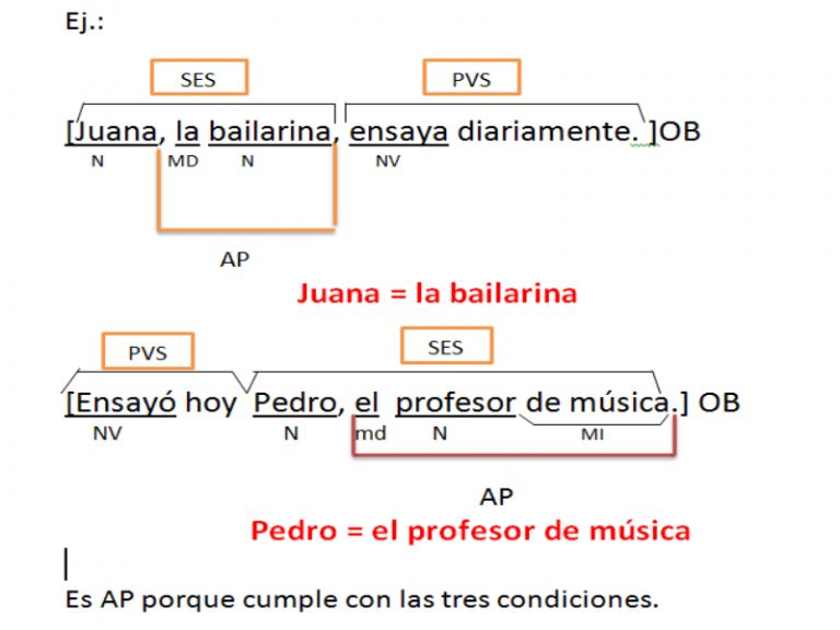 Qué es una aposición, características y tipos de aposiciones