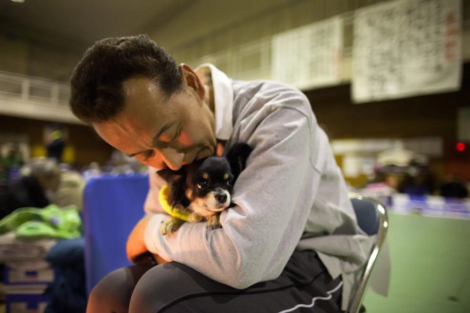 Hasta 190 decibelios en Nochevieja: el ruido legal que puede matar aves ...